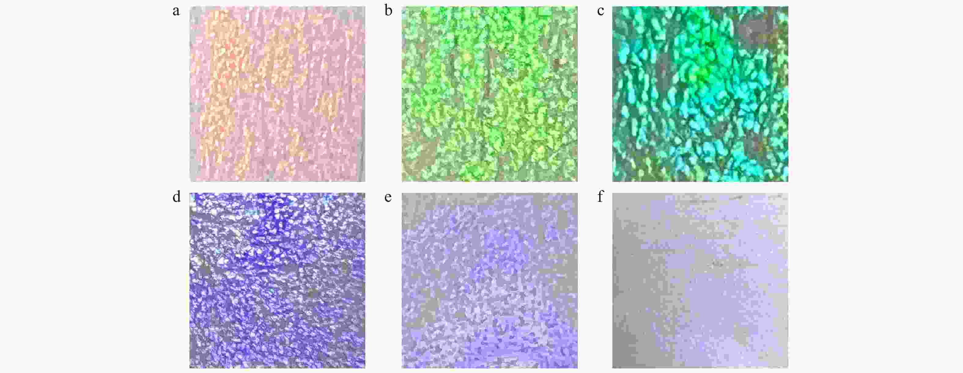SiO 2 微球的制备及其在木材表面的结构生色