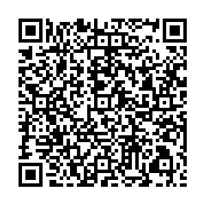 杨树 PdKNAT 7基因调控拟南芥次生细胞壁厚度的功能研究